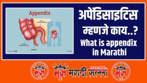 अपेंडिसाइटिस म्हणजे काय? | What is appendix in marathi?